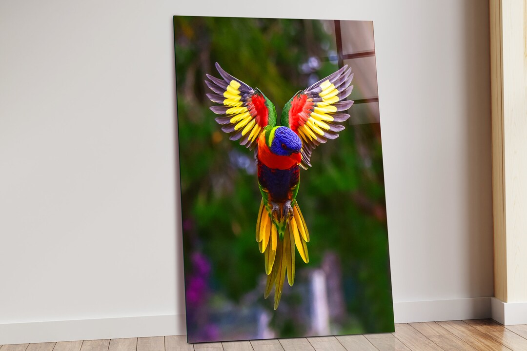 Rainbow Lori Tempered Glass Printing Wall Art Large Wall Art - Etsy