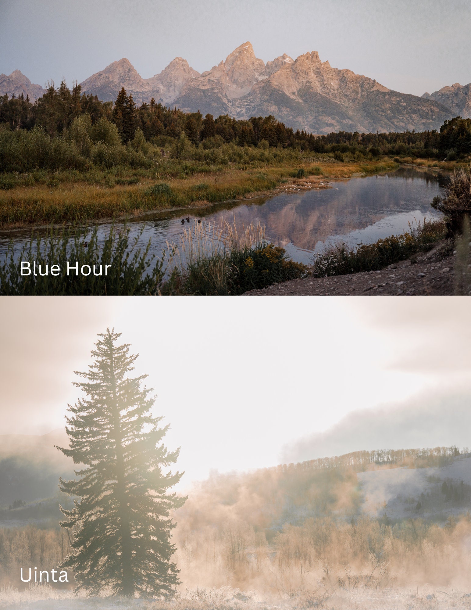 Embark With Ember Natural Earthy Tone Presets - Etsy