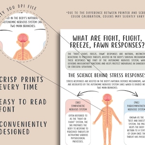Fight Flight Freeze Fawn Trauma Response Worksheets, PTSD Stress ...