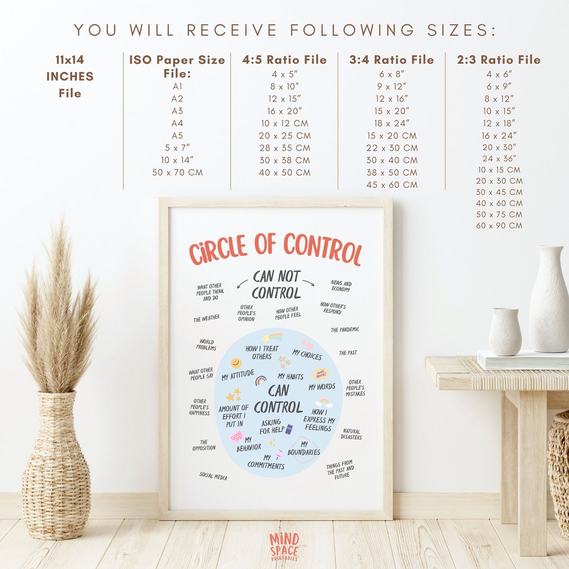 Things I Can Control Poster Circle of Control for Kids - Etsy