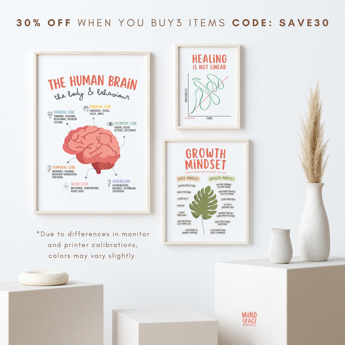 The Human Brain Poster Brain Anatomy Poster Psychology - Etsy