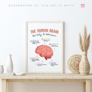 The Human Brain Poster, Brain Anatomy Poster, Psychology, Therapy ...