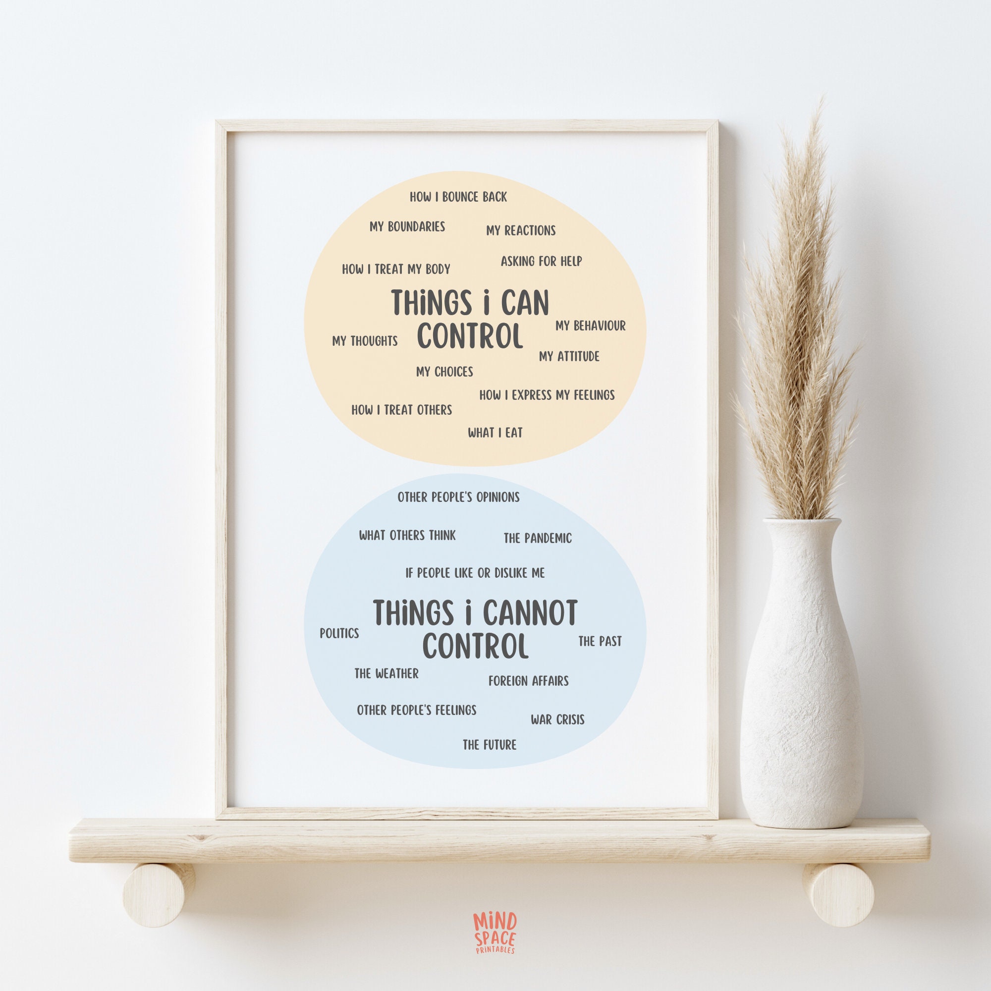 Things I Can Control Poster, Circle of Control for Kids, Mental Health ...