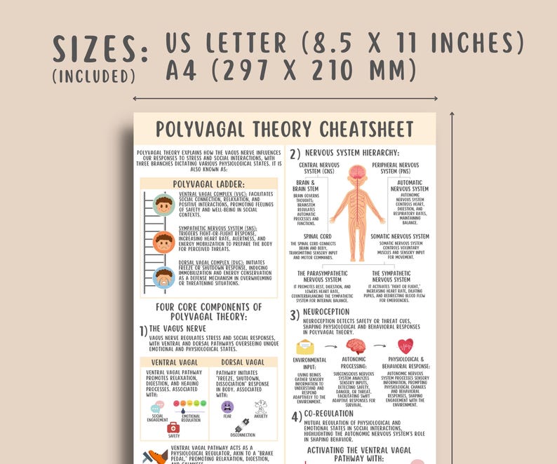 Polyvagal Theory Cheat Sheet, Vagus Nerve Guide, Polyvagal Ladder ...