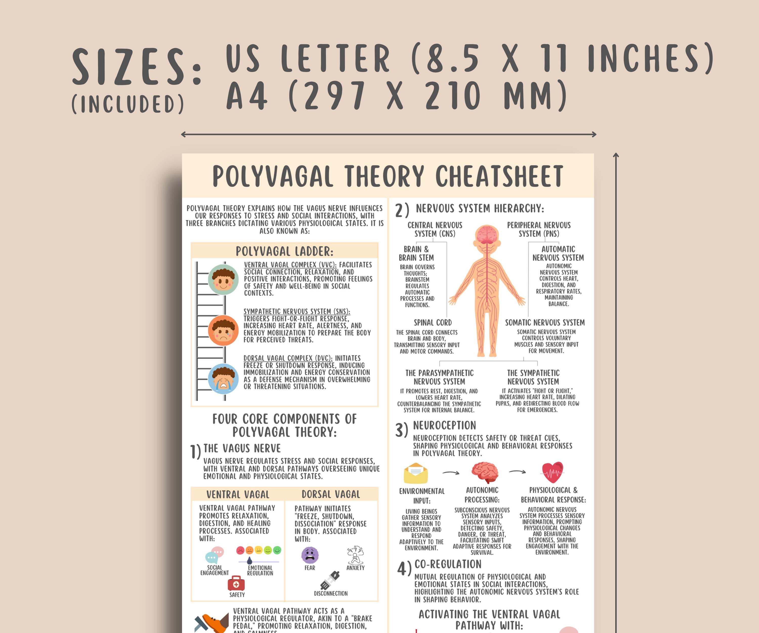 Polyvagal Theory Cheat Sheet, Vagus Nerve Guide, Polyvagal Ladder ...