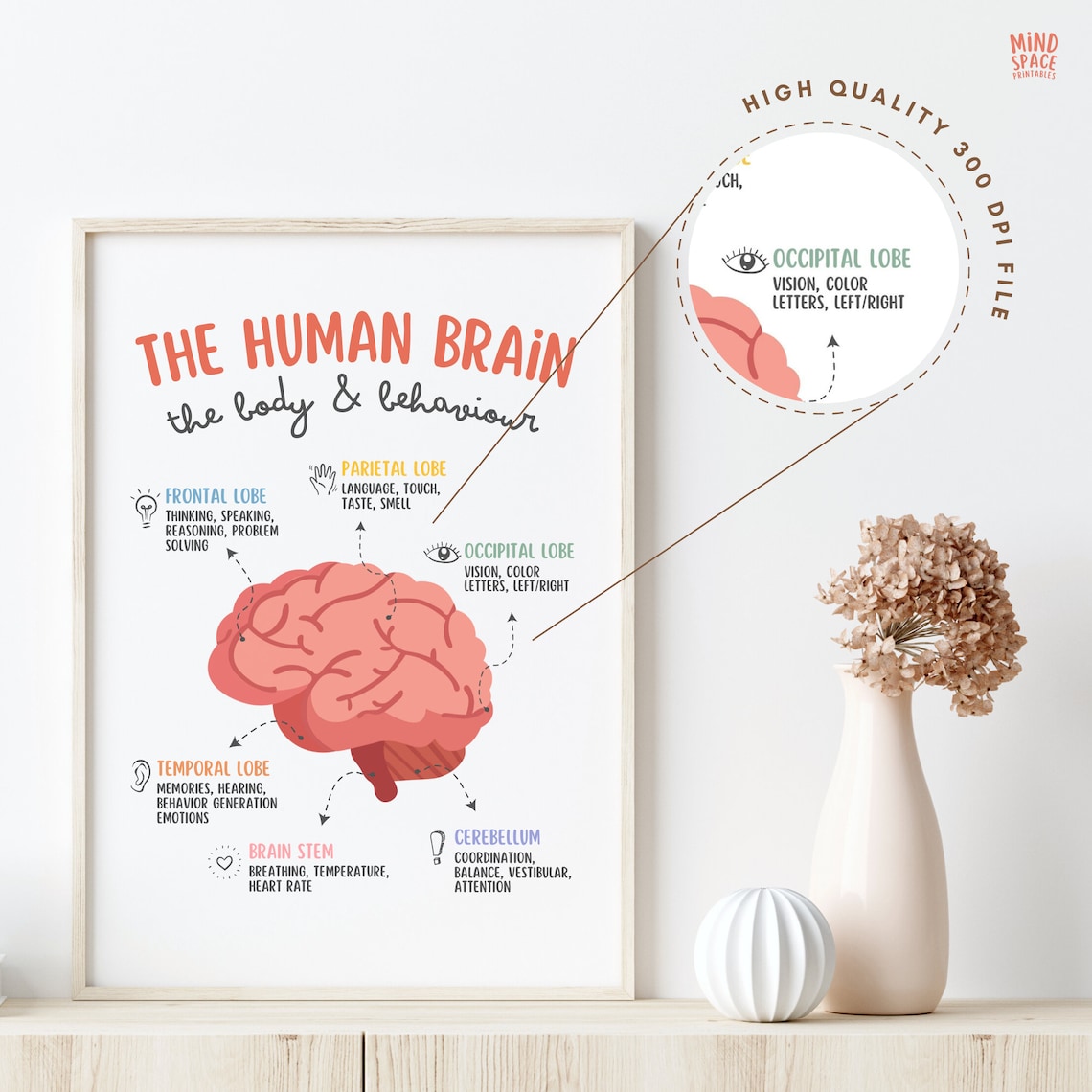 The Human Brain Poster Brain Anatomy Poster Psychology - Etsy Australia