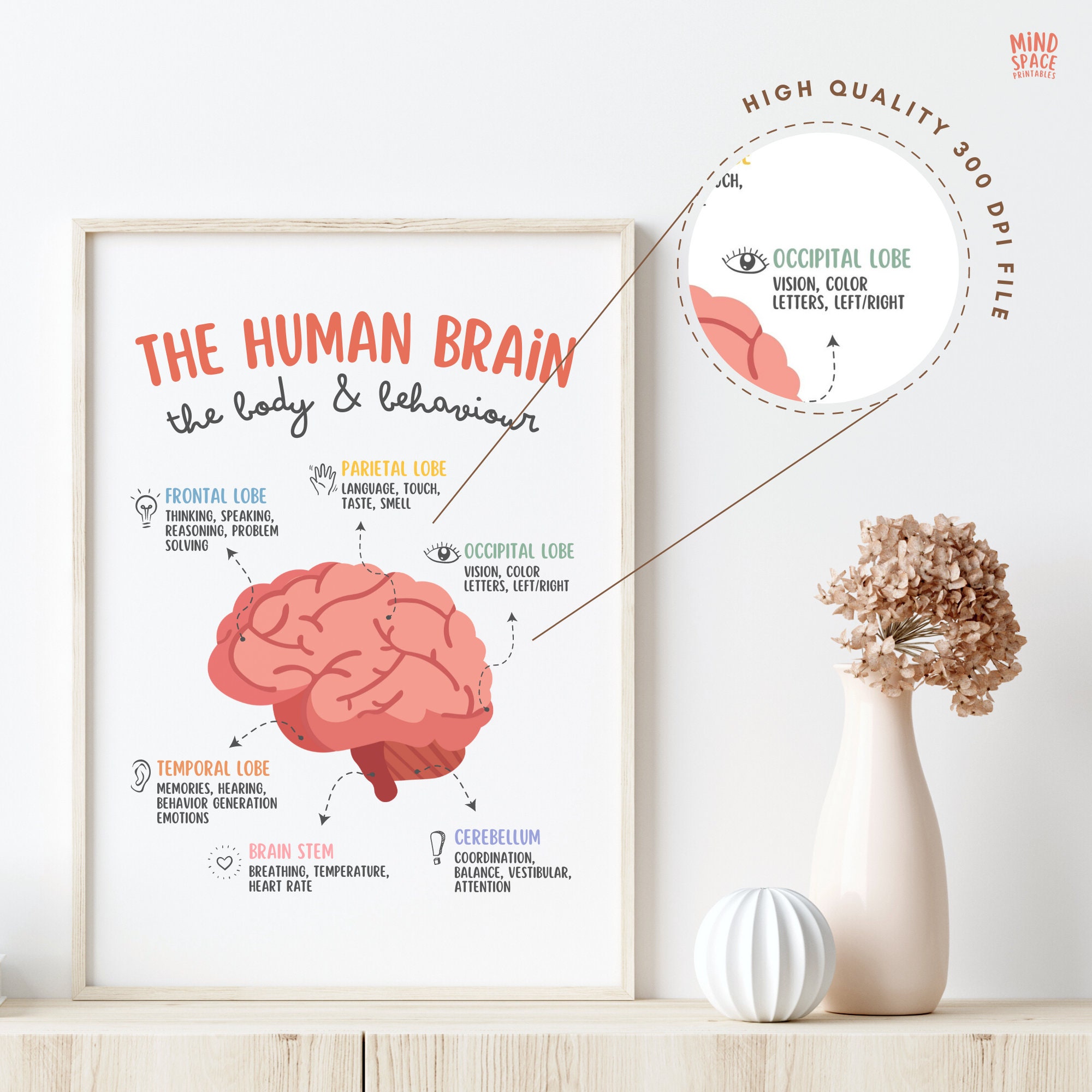 The Human Brain Poster Brain Anatomy Poster Psychology - Etsy