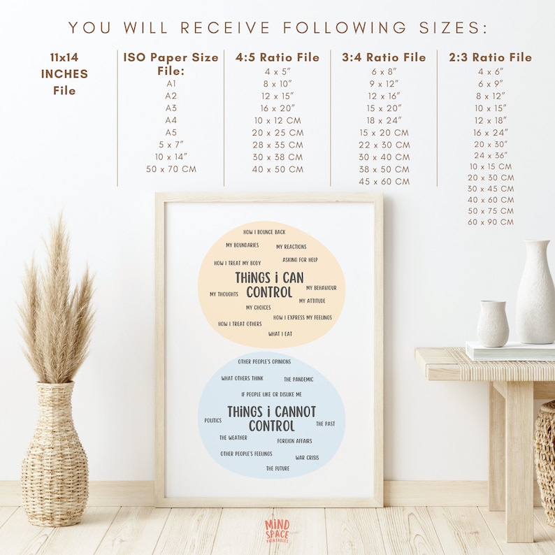Things I Can Control Poster, Circle of Control for Kids, Mental Health ...