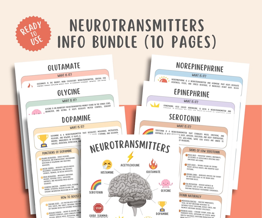 Neurotransmitters Info Bundle, Brain Chemistry, Mental Health Print ...