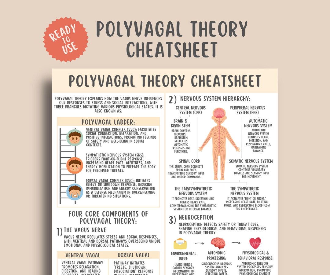 Polyvagal Theory Cheat Sheet, Vagus Nerve Guide, Polyvagal Ladder, Nervous System Hierarchy ...