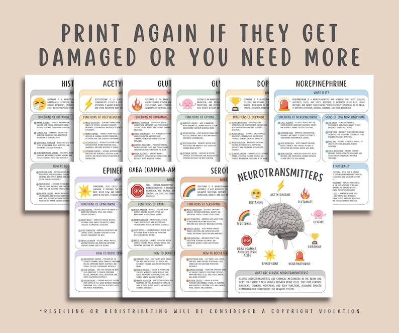 Neurotransmitters Info Bundle, Brain Chemistry, Mental Health Print ...