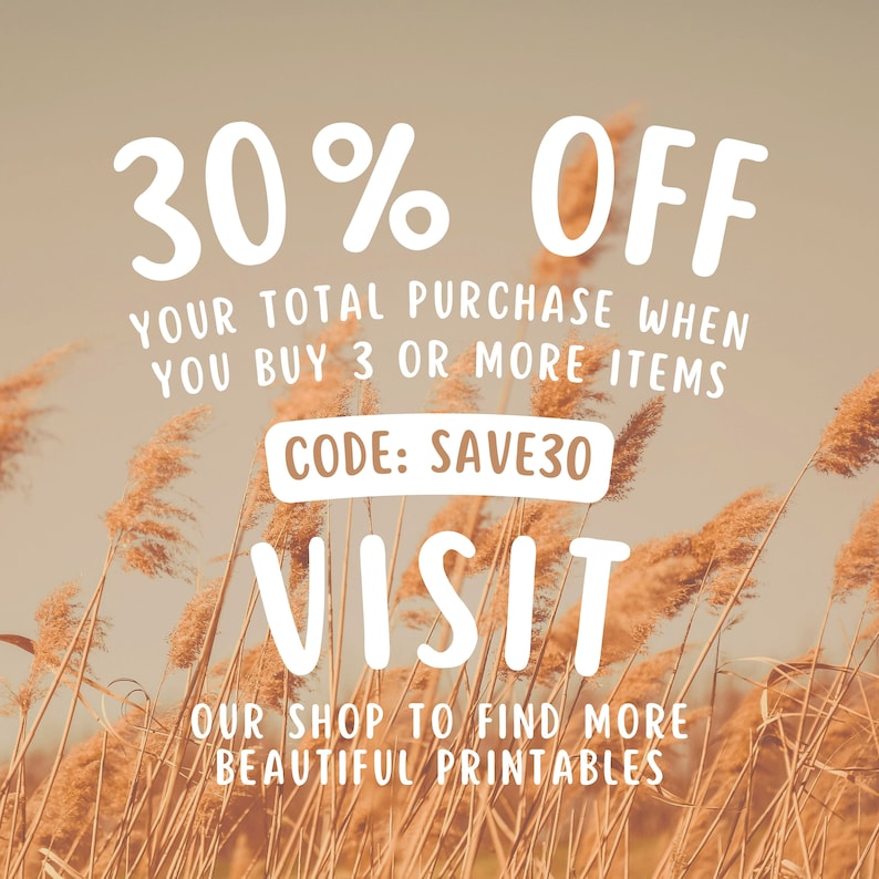 How Big is My Problem, Size of the Problem Poster, Zones of Regulation ...