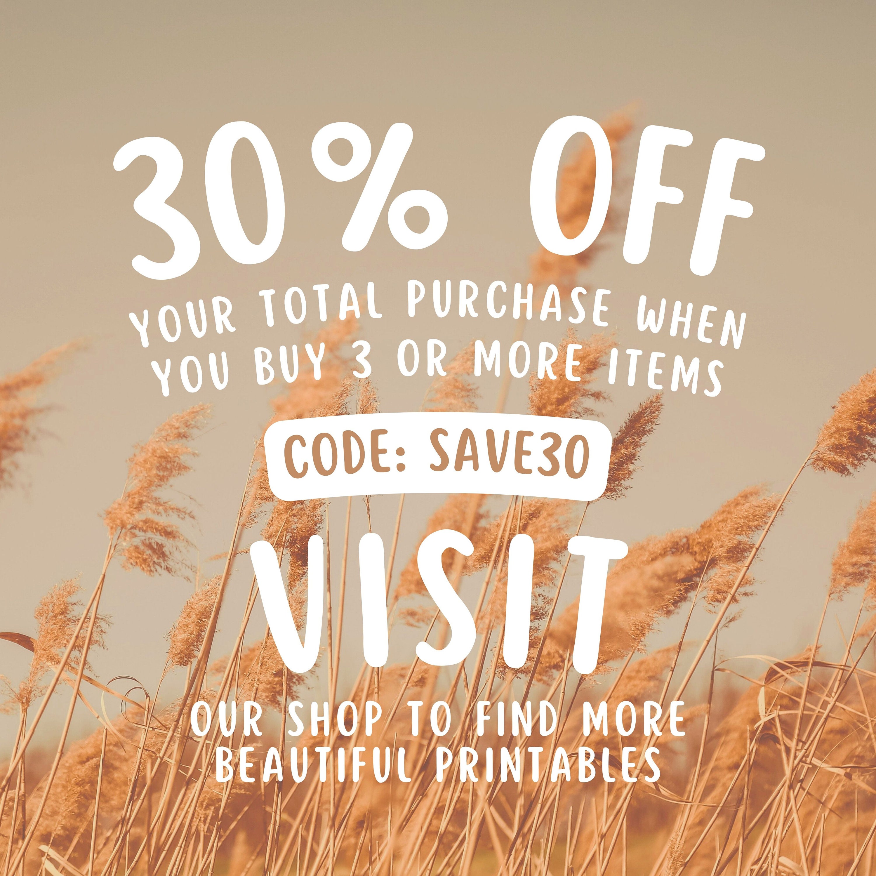 How Big is My Problem, Size of the Problem Poster, Zones of Regulation ...