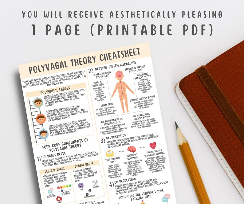 Polyvagal Theory Cheat Sheet, Vagus Nerve Guide, Polyvagal Ladder ...