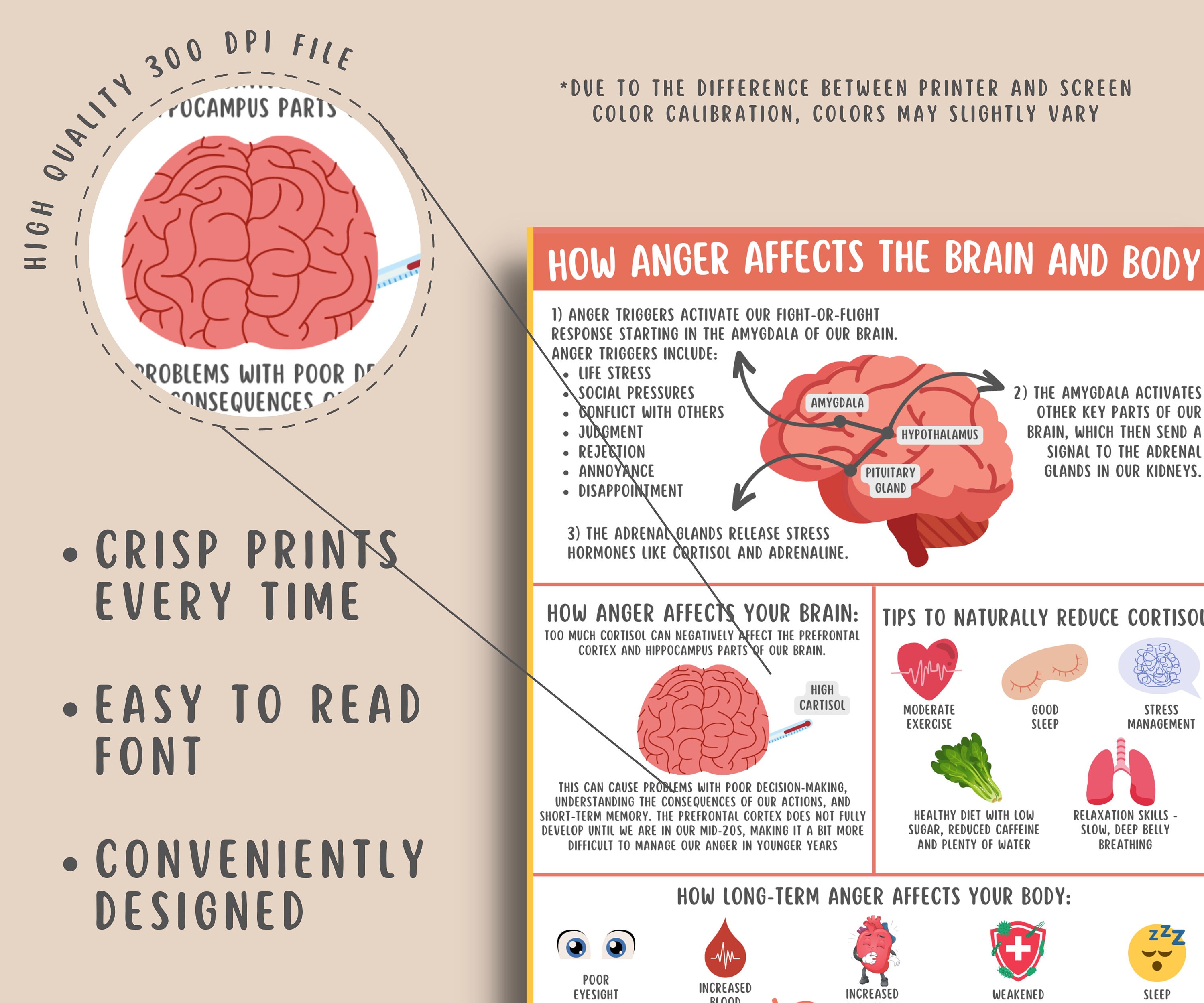 Anger Affects on Brain & Body Handout for Kids Teens, Stress Management ...