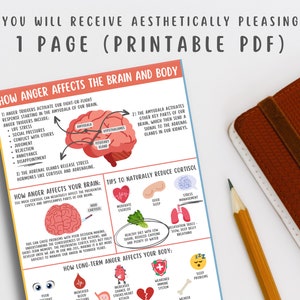 Anger Affects on Brain & Body Handout for Kids Teens, Stress Management ...