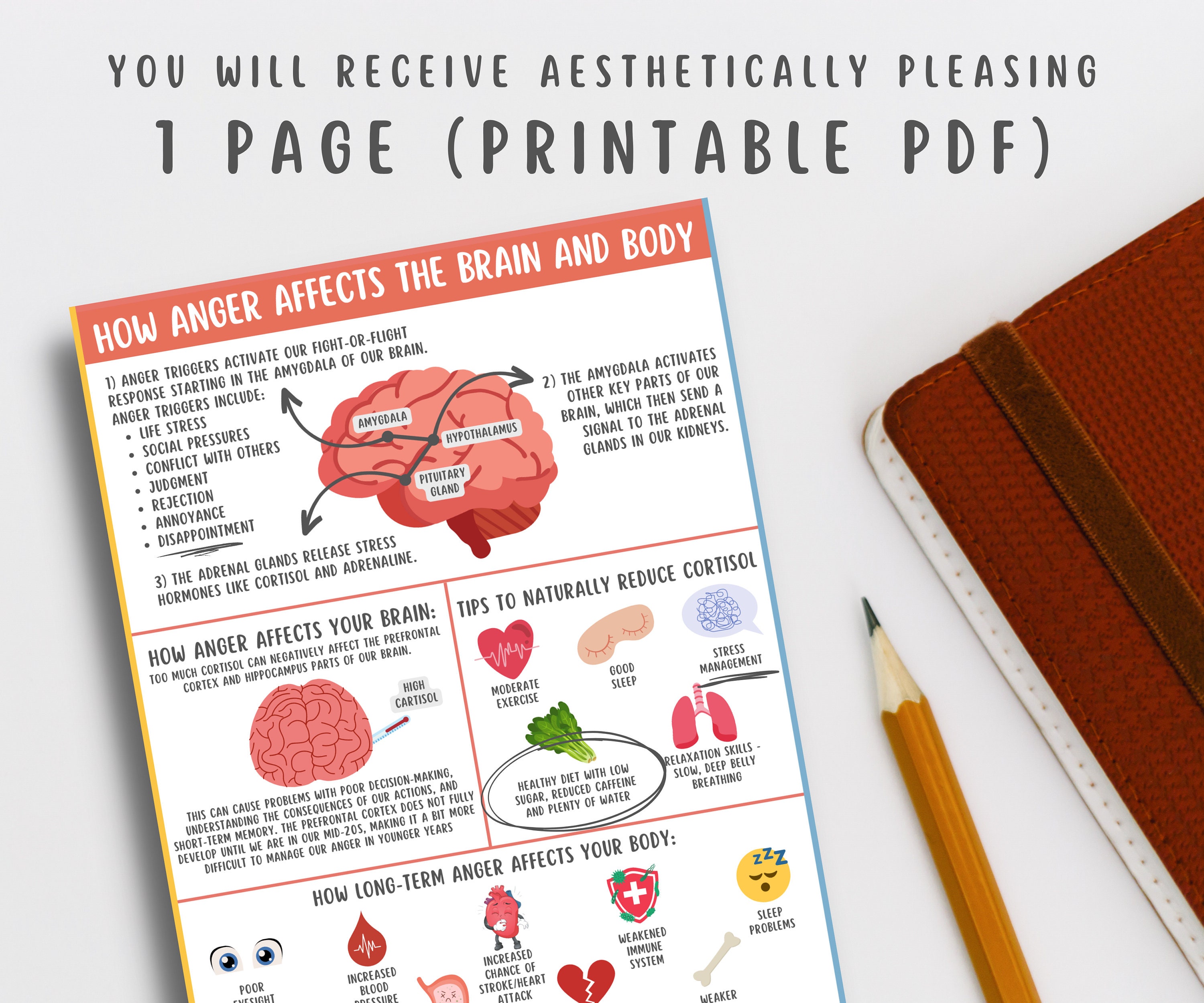 Anger Affects on Brain & Body Handout for Kids Teens, Stress Management ...