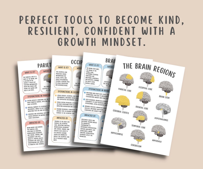The Brain Regions Info Sheets Neuroscience for Mental Health ...