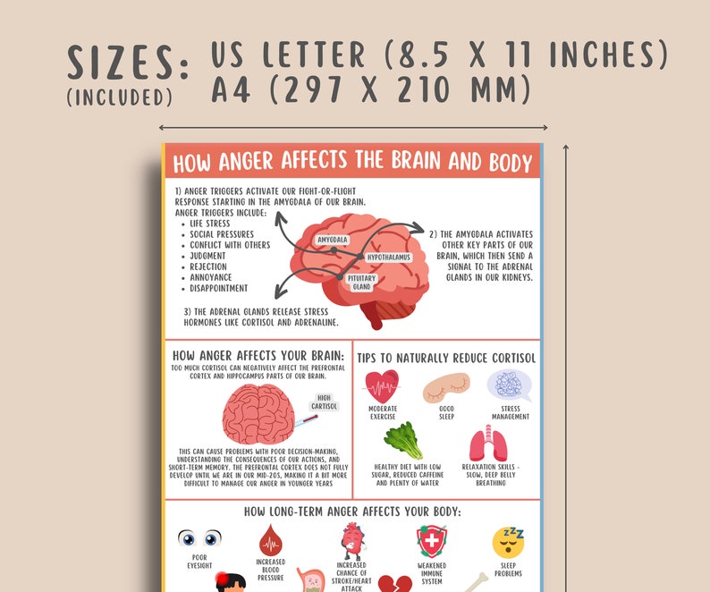 Anger Affects on Brain & Body Handout for Kids Teens, Stress Management ...