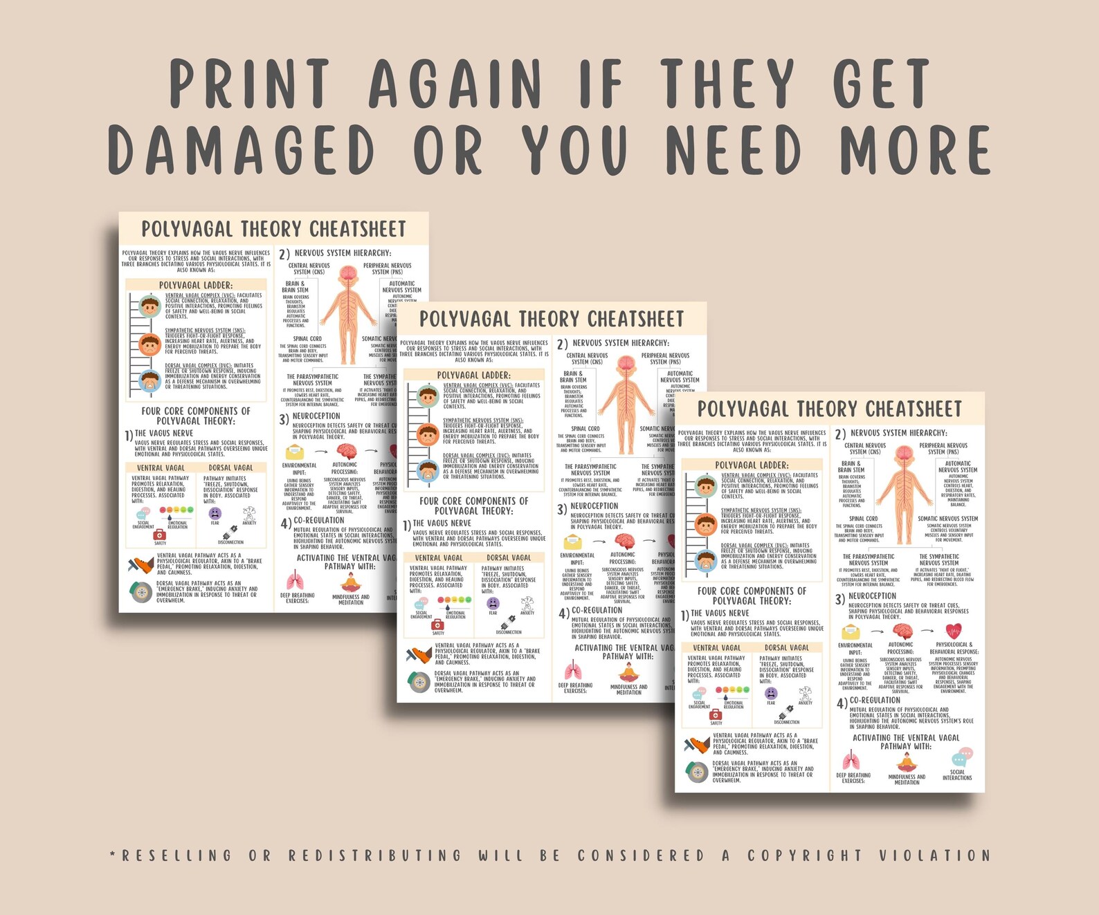 Polyvagal Theory Cheat Sheet, Vagus Nerve Guide, Polyvagal Ladder ...