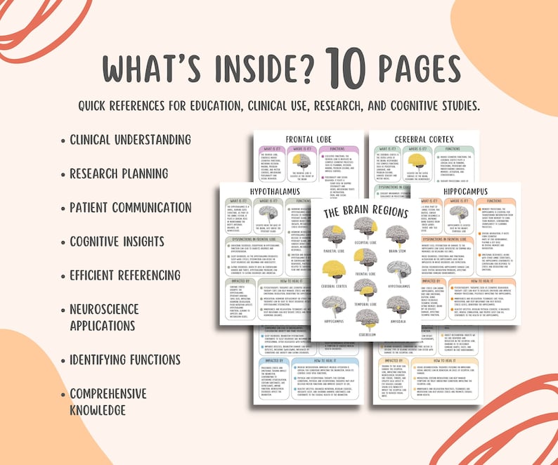 The Brain Regions Info Sheets Neuroscience for Mental Health ...