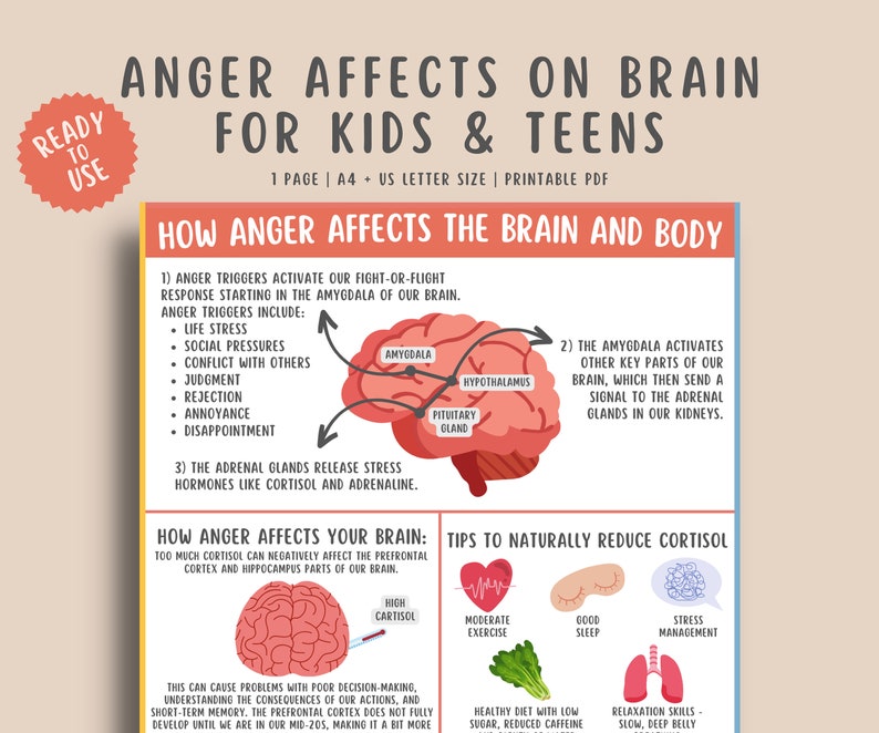 Anger Affects on Brain & Body Handout for Kids Teens, Stress Management ...