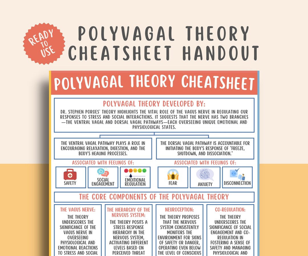 Polyvagal Theory Cheatsheet for Nervous System Regulation Vagus Nerve ...