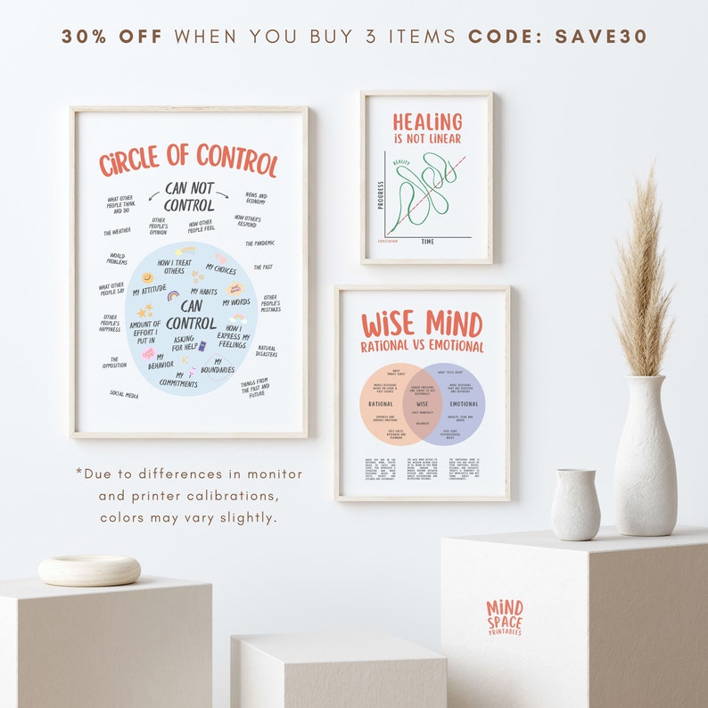 Things I Can Control Poster Circle of Control for Kids - Etsy