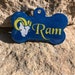 Football Pet Tag: Custom Resin Bone-shaped Dog Tag - Etsy
