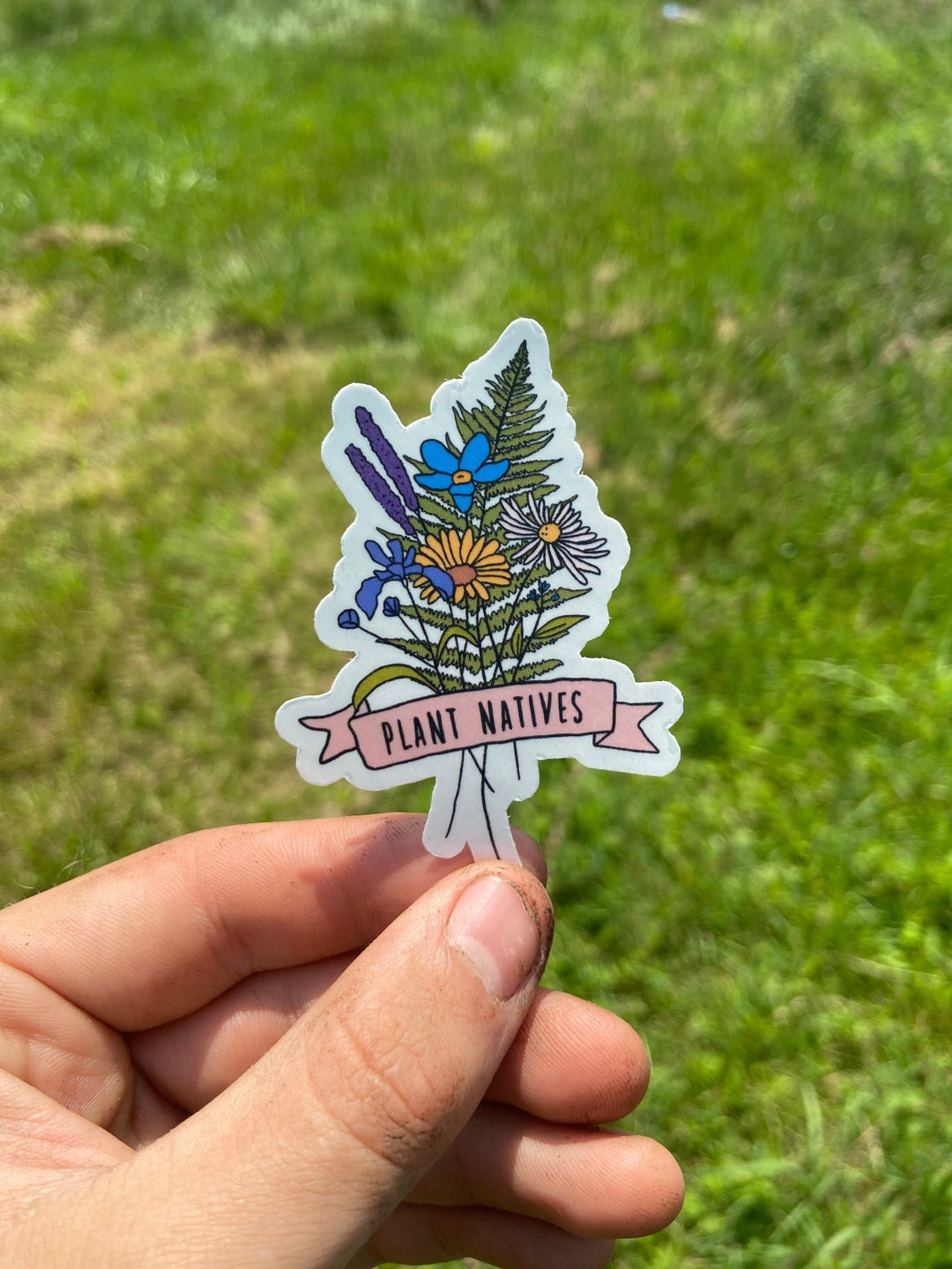 Iris Versicolor Sticker Plant Natives Waterproof Sticker Fern Aster ...