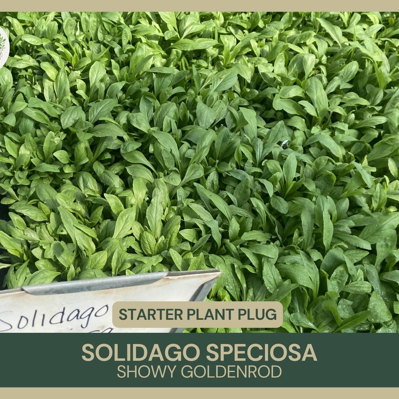 OneStopGardenShopCo - Etsy