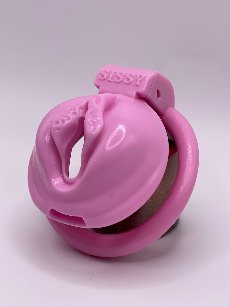 SISSY PUSSY CAGE Cock Cage Vulva Cock Cage Chastity Cage - Etsy Canada