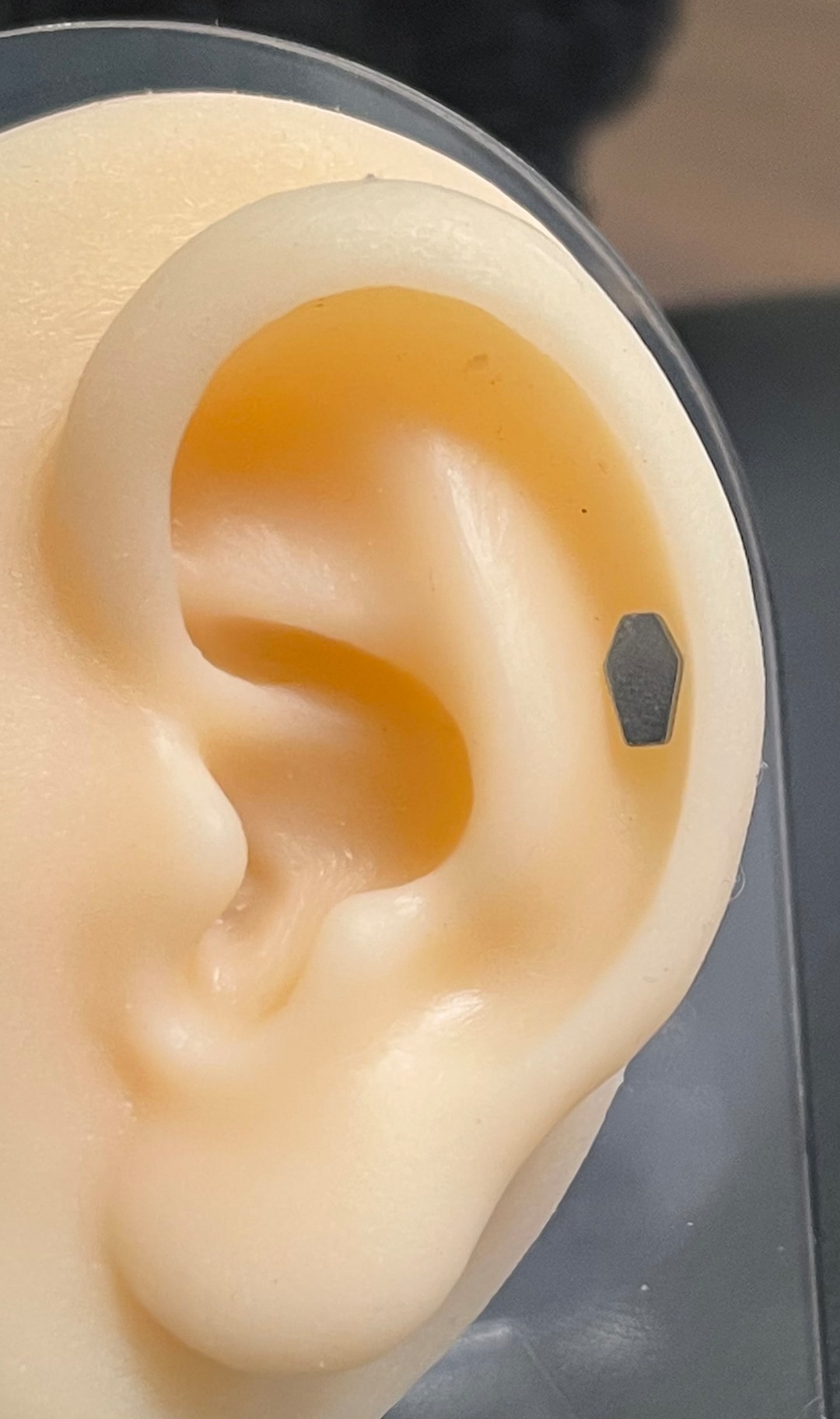 Internally Threaded Titanium Coffin End - Cartilage Tragus Conch Helix ...