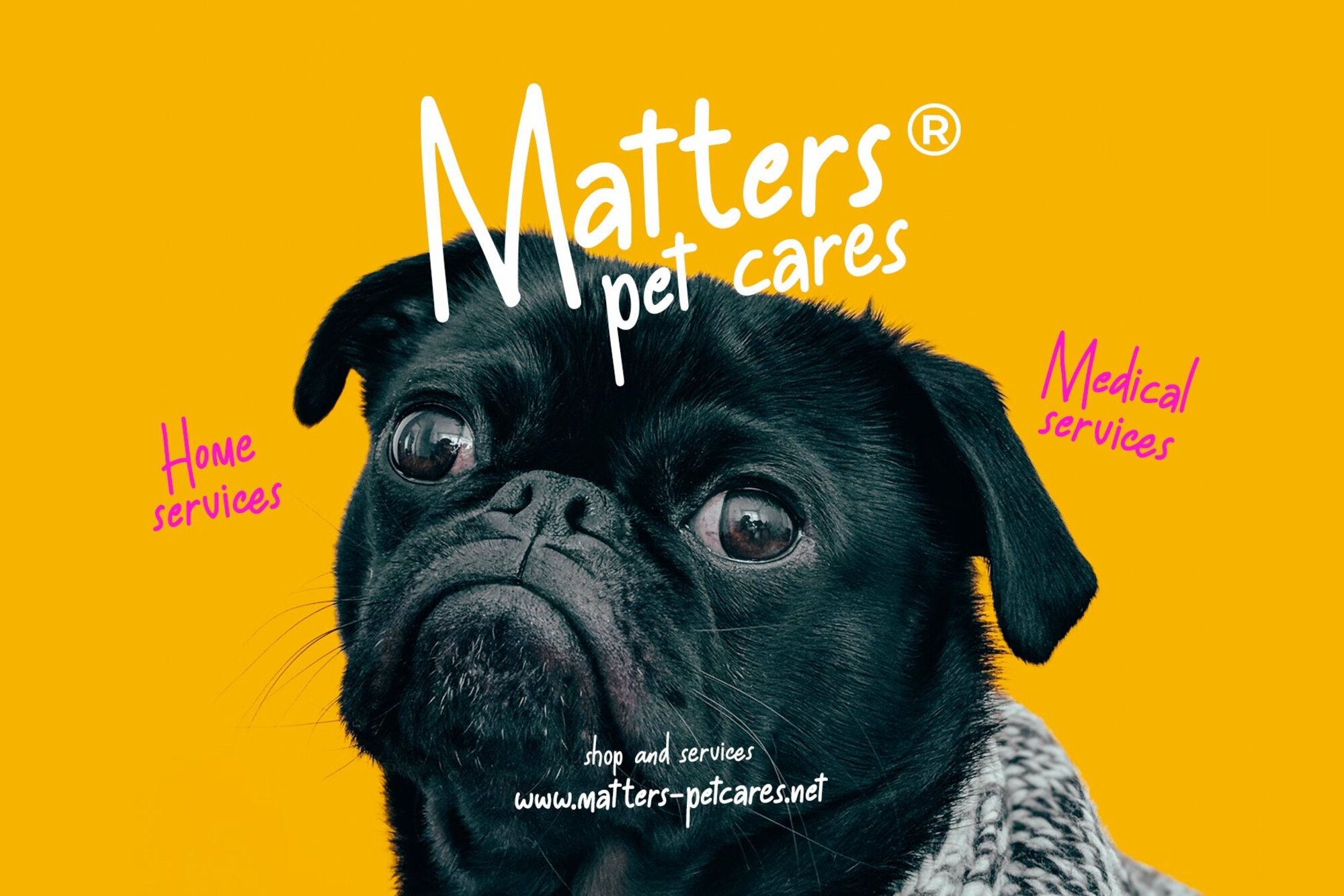 Red Ink Display Handwriting Modern Font Minimalist Script Font for ...