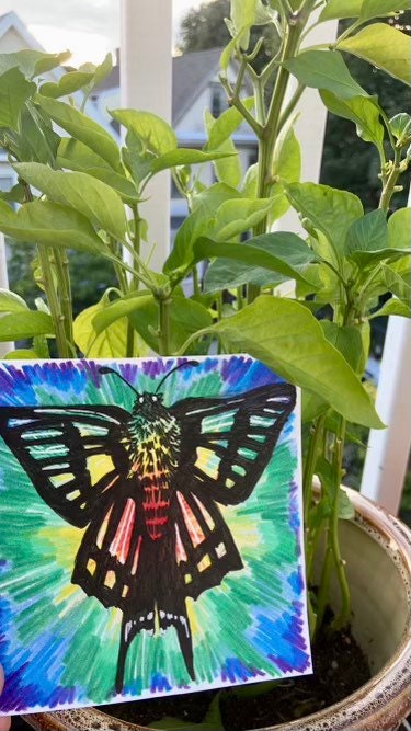 Original Moth Paintings Customizable Moth Paintings - Etsy