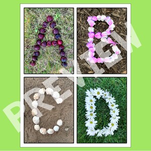 Nature Alphabet Uppercase, Instant Download, Digital Prints - Etsy Canada
