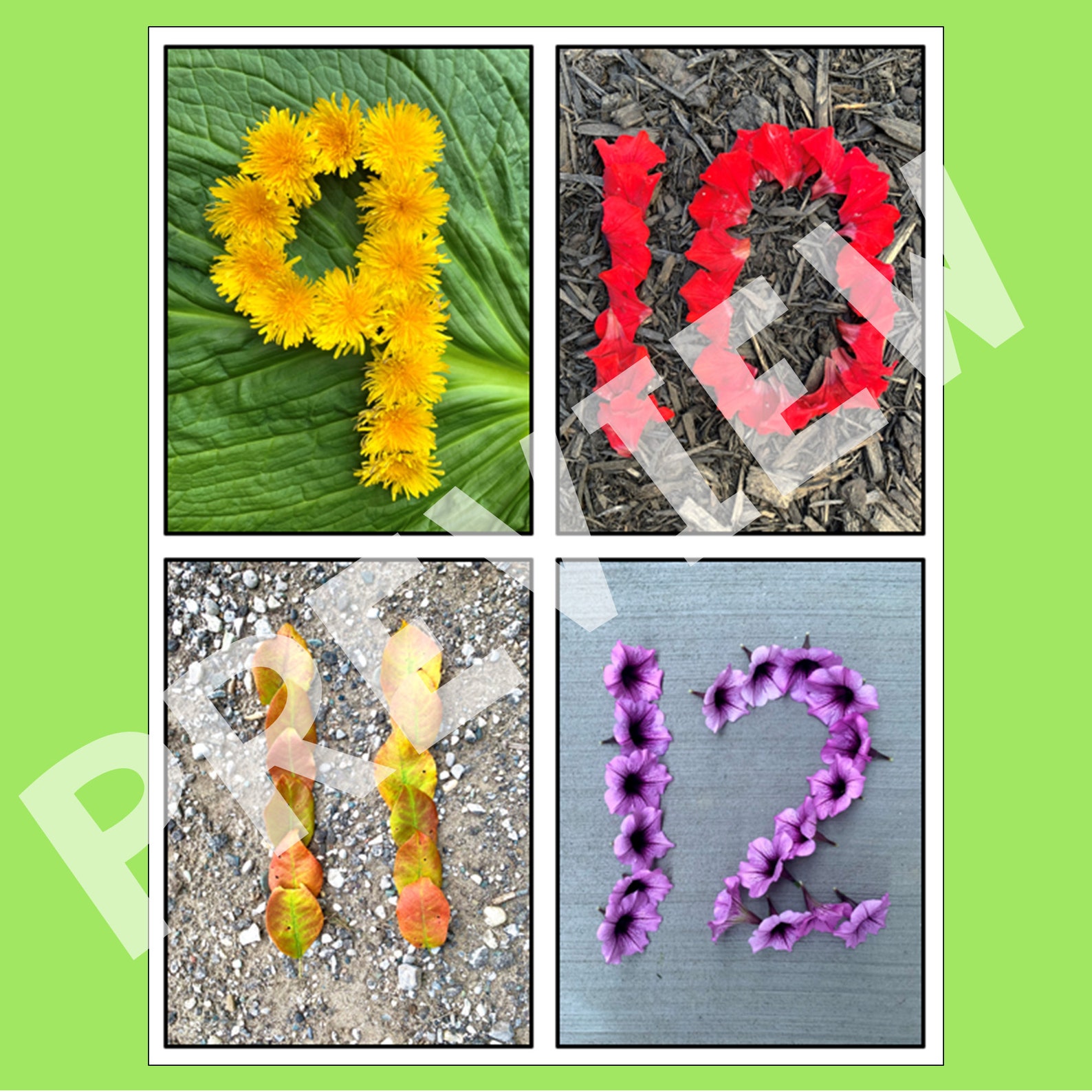 Nature Numbers 0-20, Alphabet Posters, Instant Download, Digital Prints ...