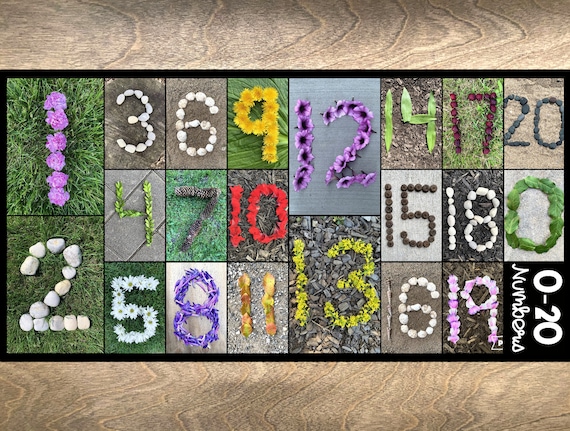 Nature Numbers 0-20 Alphabet Posters Instant Download - Etsy
