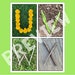 Nature Alphabet Uppercase, Instant Download, Digital Prints - Etsy Canada