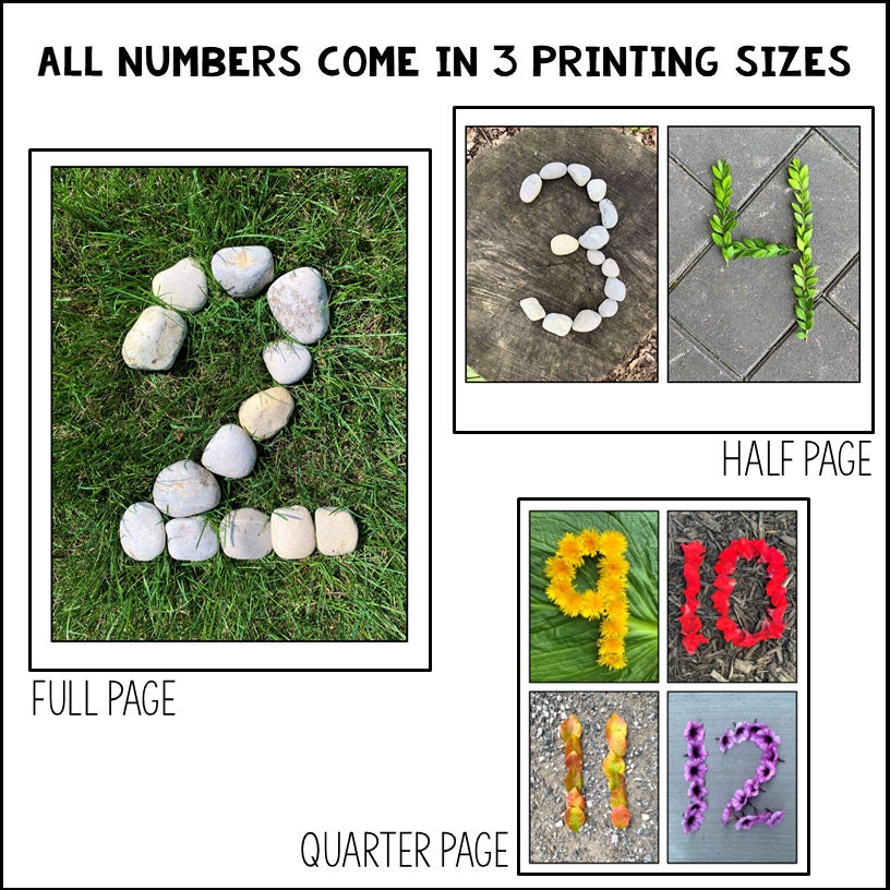 Nature Numbers 0-20, Alphabet Posters, Instant Download, Digital Prints ...