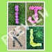 Nature Alphabet Uppercase, Instant Download, Digital Prints - Etsy Canada