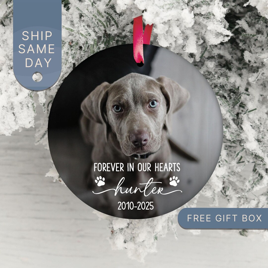 Personalized Dog Memorial Ornament, Custom Pet Memorial Keepsake, in ...