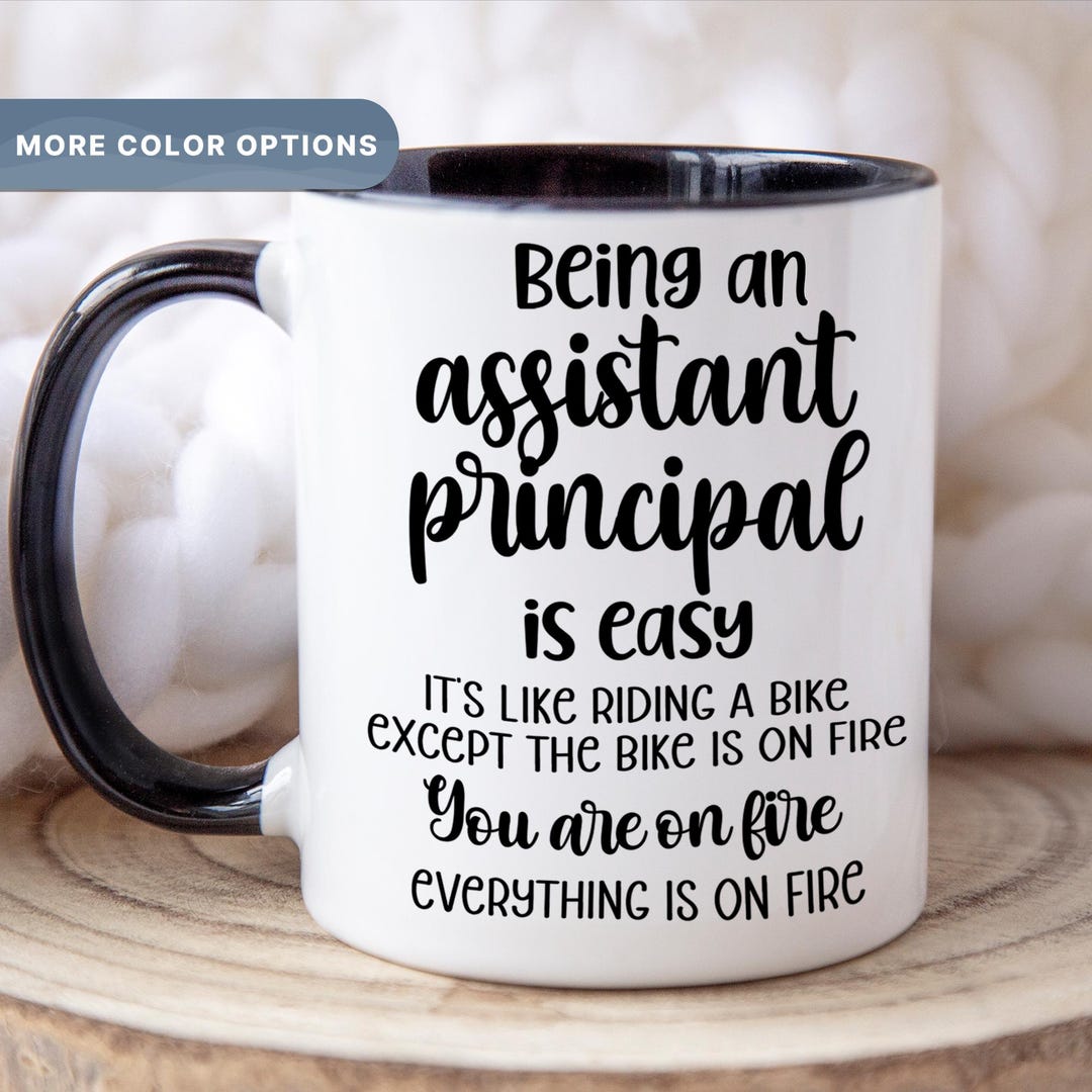 Funny Assistant Principal Mug, Appreciation Gift for Assistant ...
