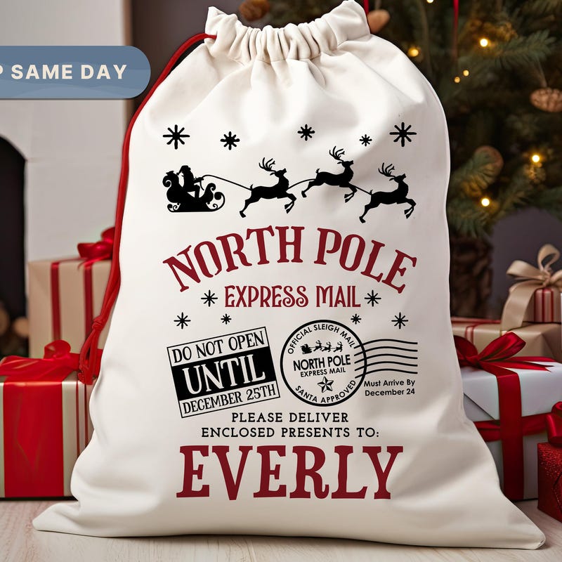 Santa Christmas Gift Bags - 60+ Gift Ideas for 2025