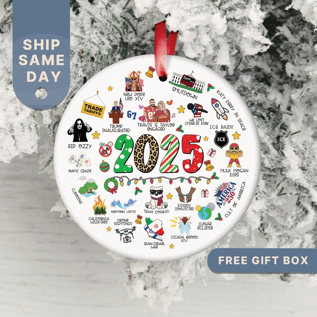 Funny 2025 Christmas Ornament, Gag Gift Year in Review Recap, Hilarious ...