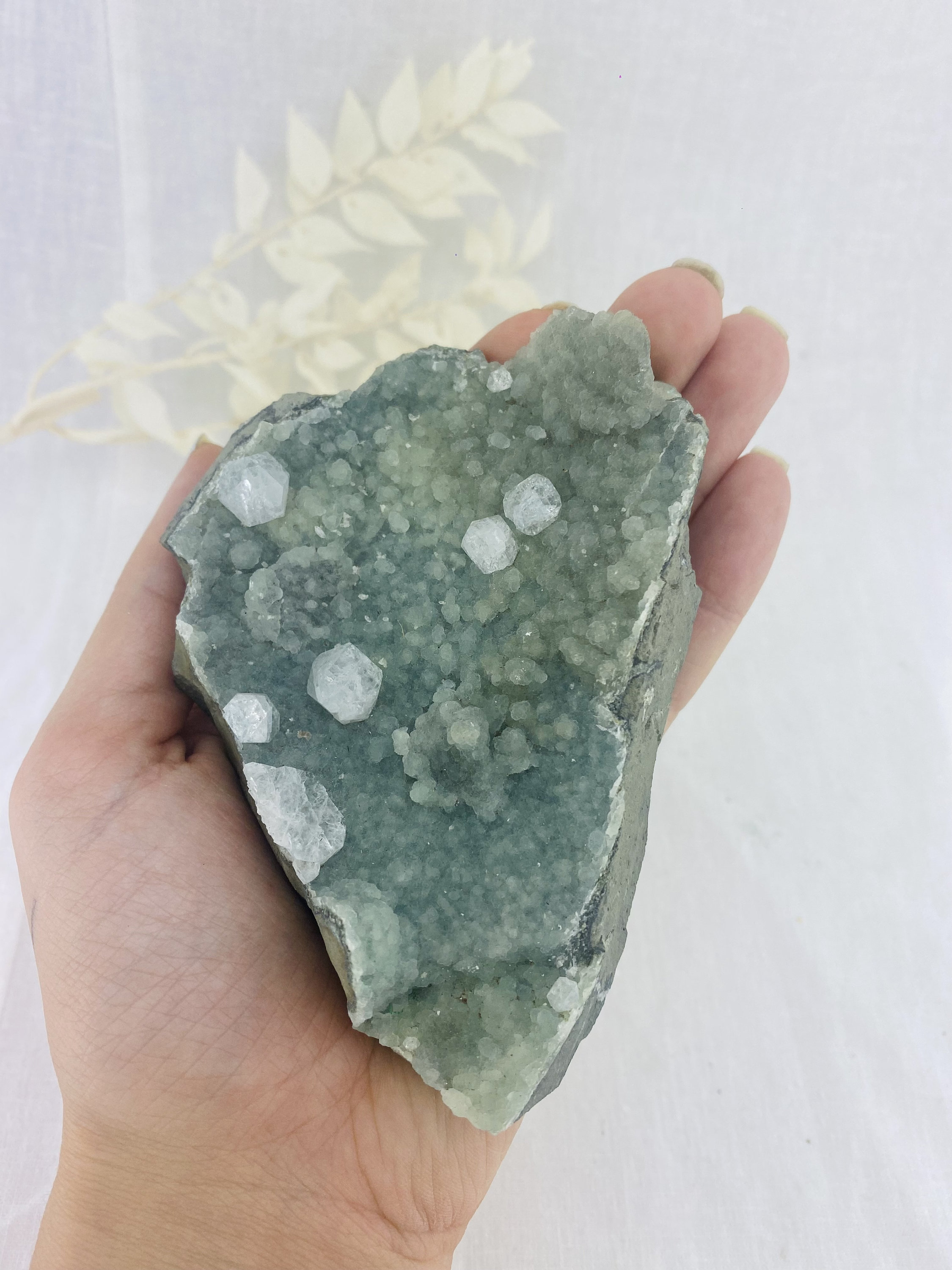 Green Prehnite Clusters From Poona, India - Etsy