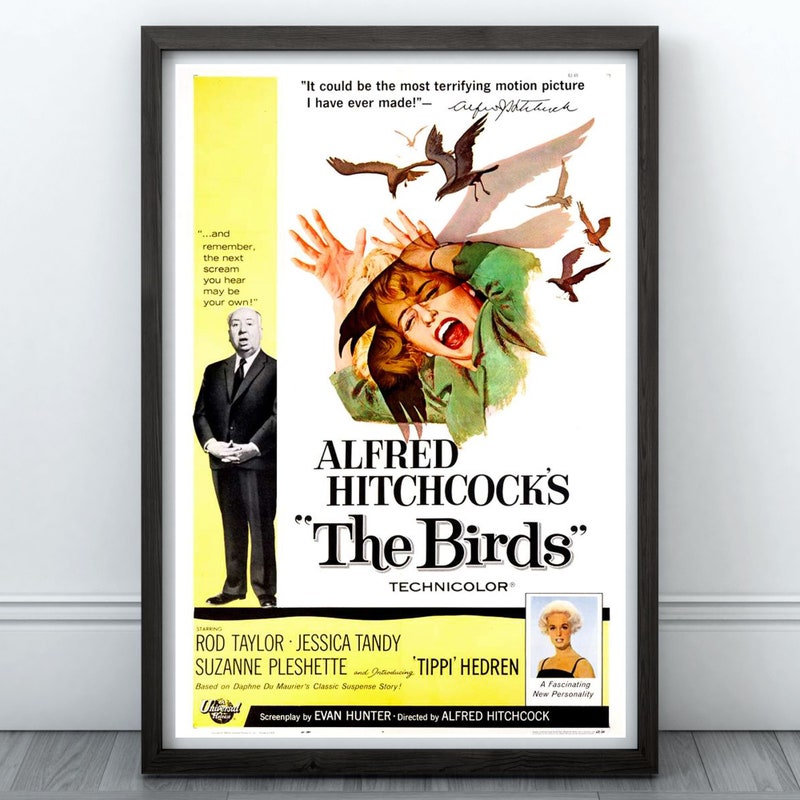 24x36 Poster Vintage Bird - Etsy