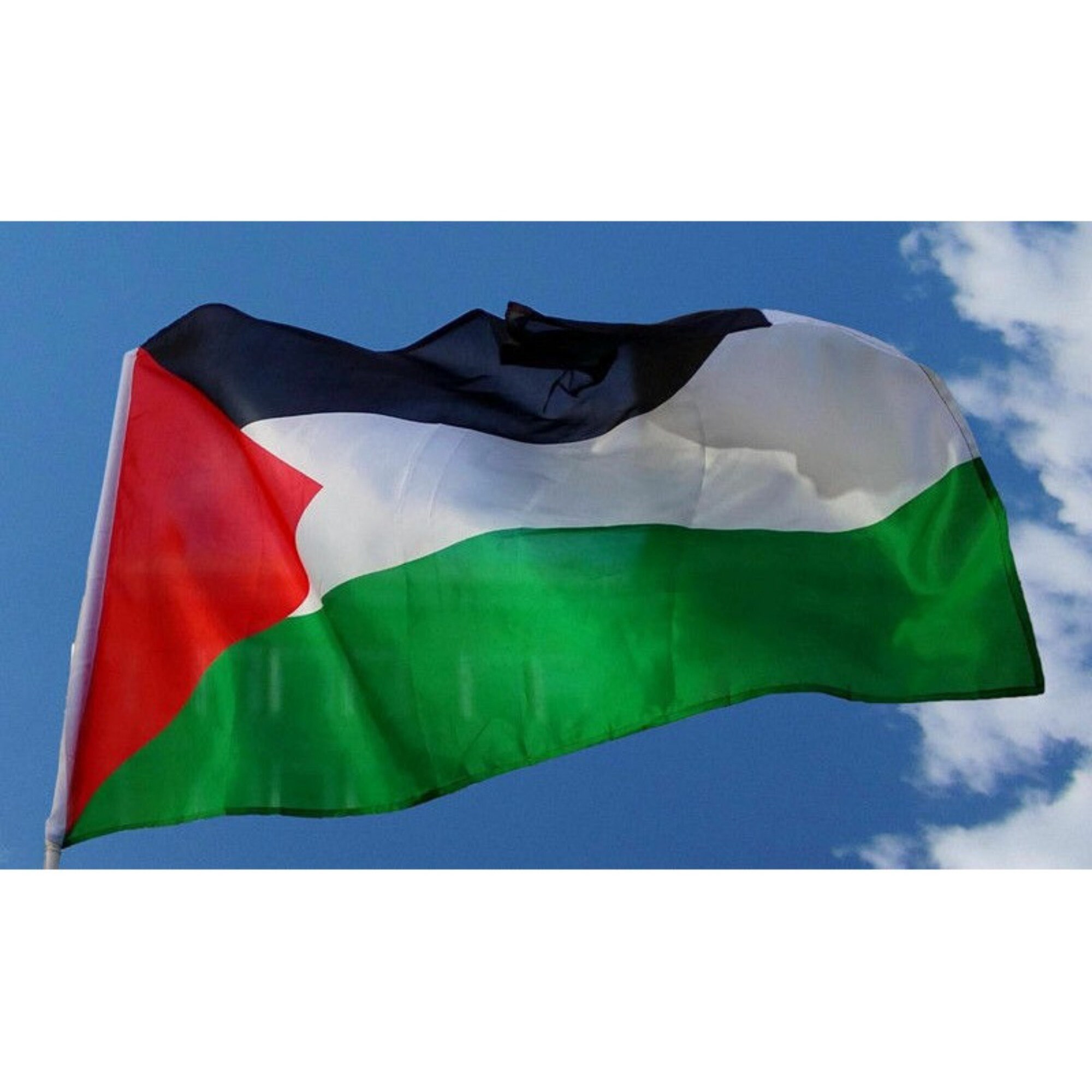 2 Pack Palestine National Flag Country Flag 5ft X 3ft PLE PS - Etsy