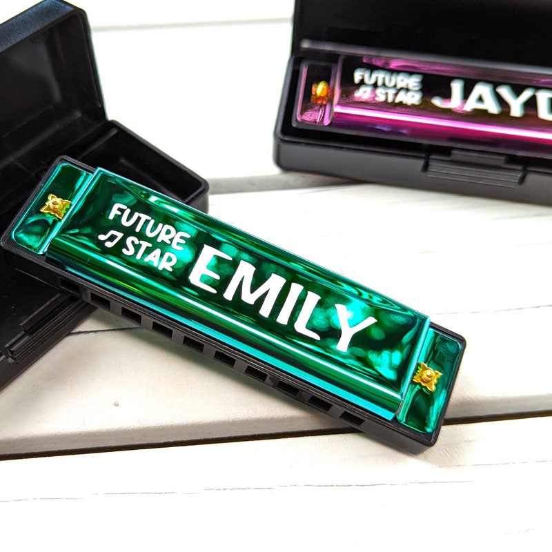 Harmonica Case - Etsy