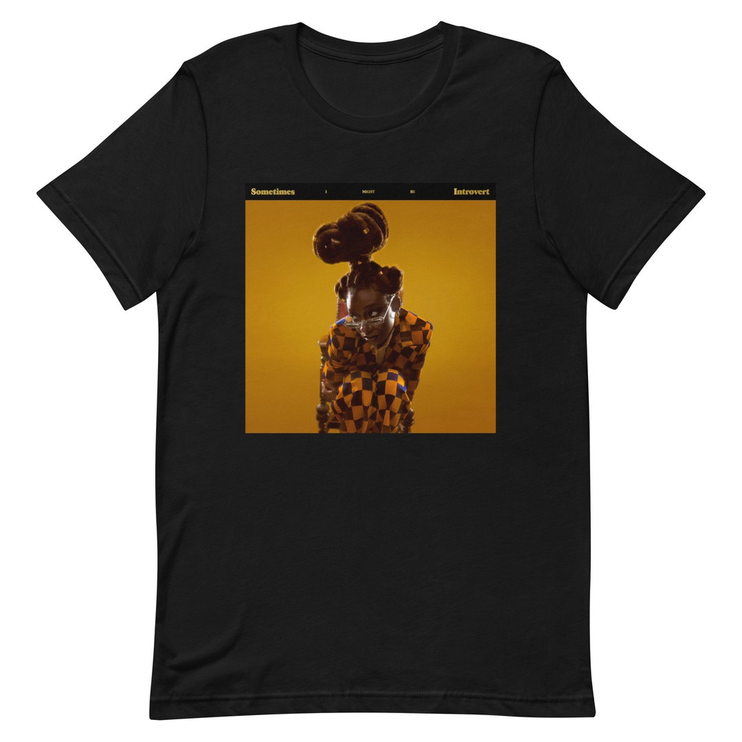 Little Simz Sometimes I Might Be Introvert Album Unisex - Etsy